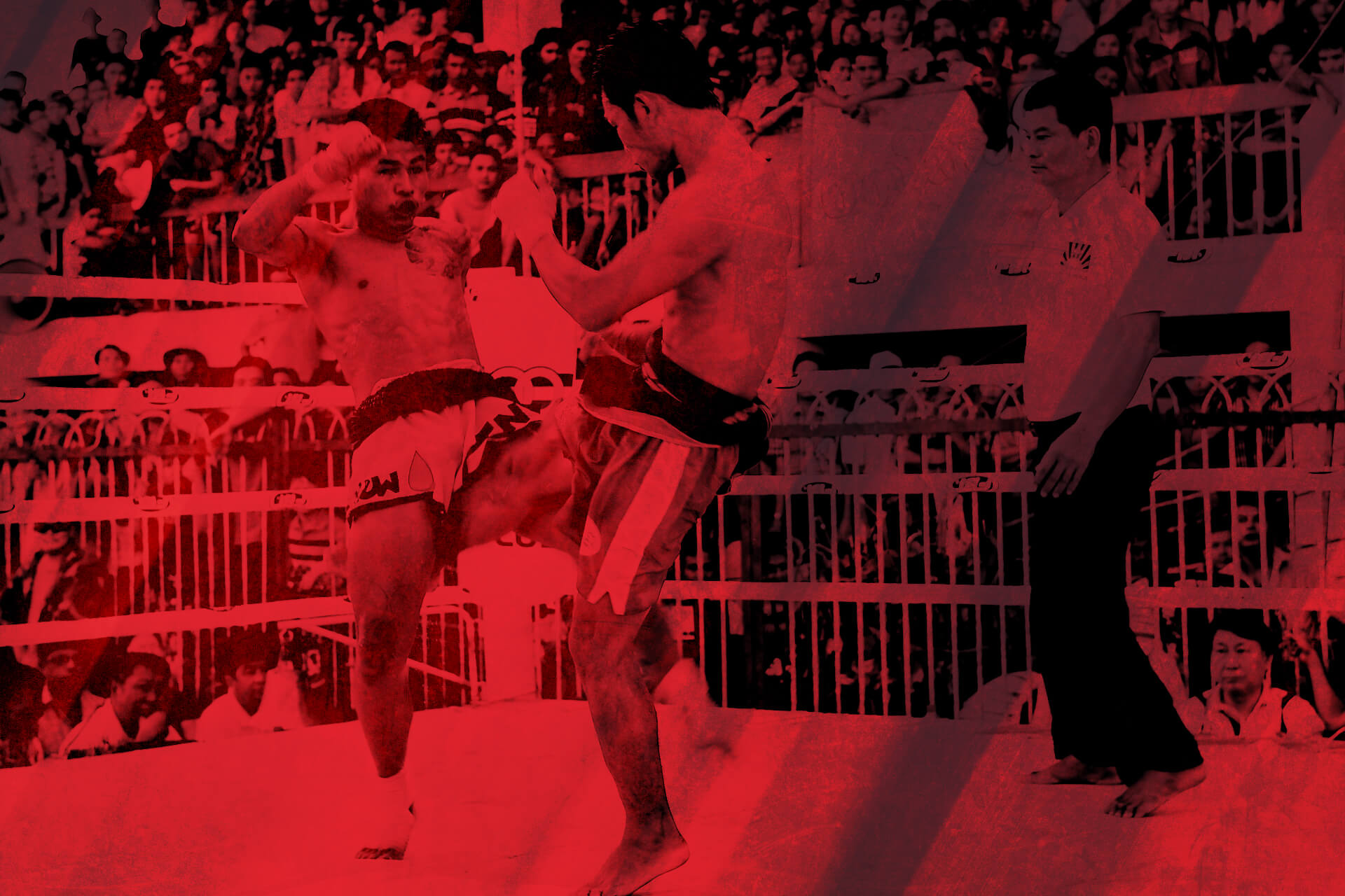 Home — Born Warriors Movie